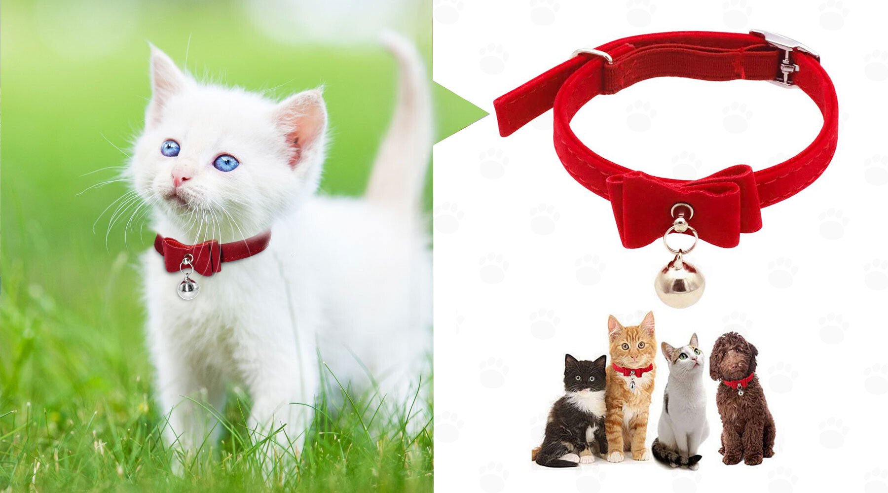 Velvet Cat Neck Strap: Elevate Your Feline's Style– Hasthip