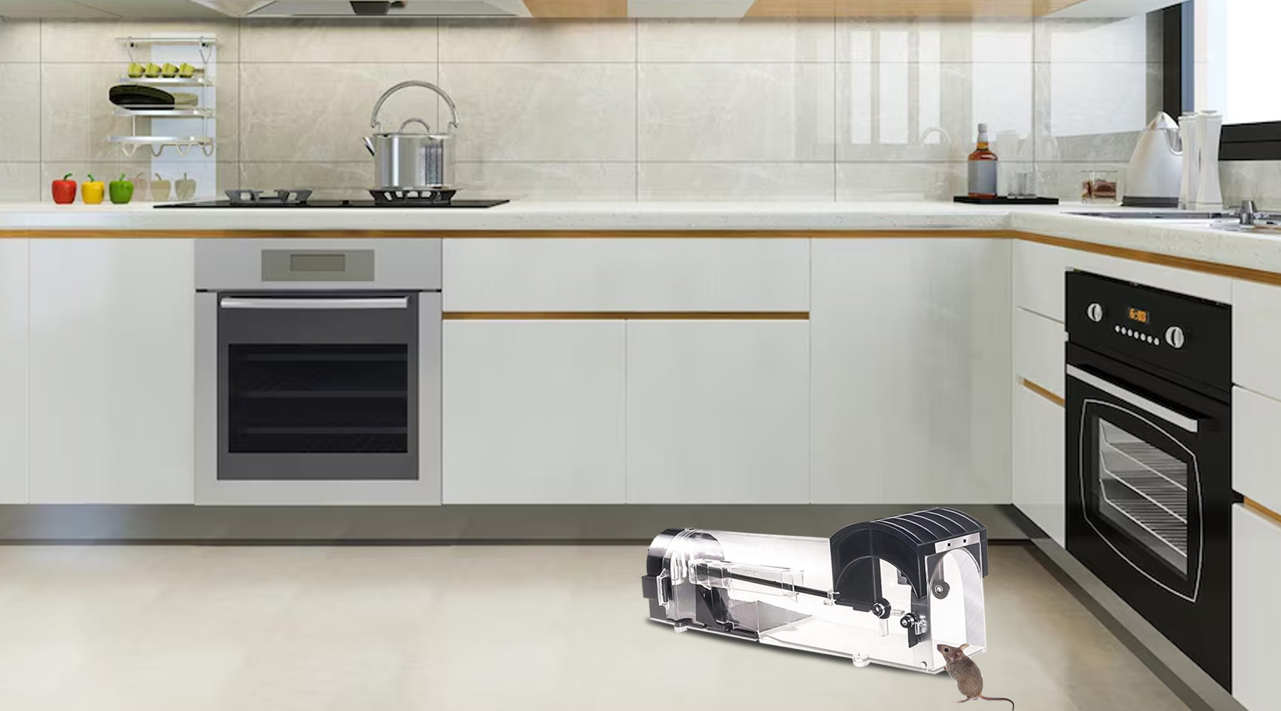 Where Compassion Meets Control Humane Mouse Trap Cage Hasthip