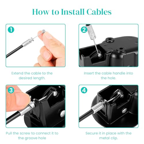 Border Miniature Collie Miniature Lassie Dog For Sale Cute Sheltie ...