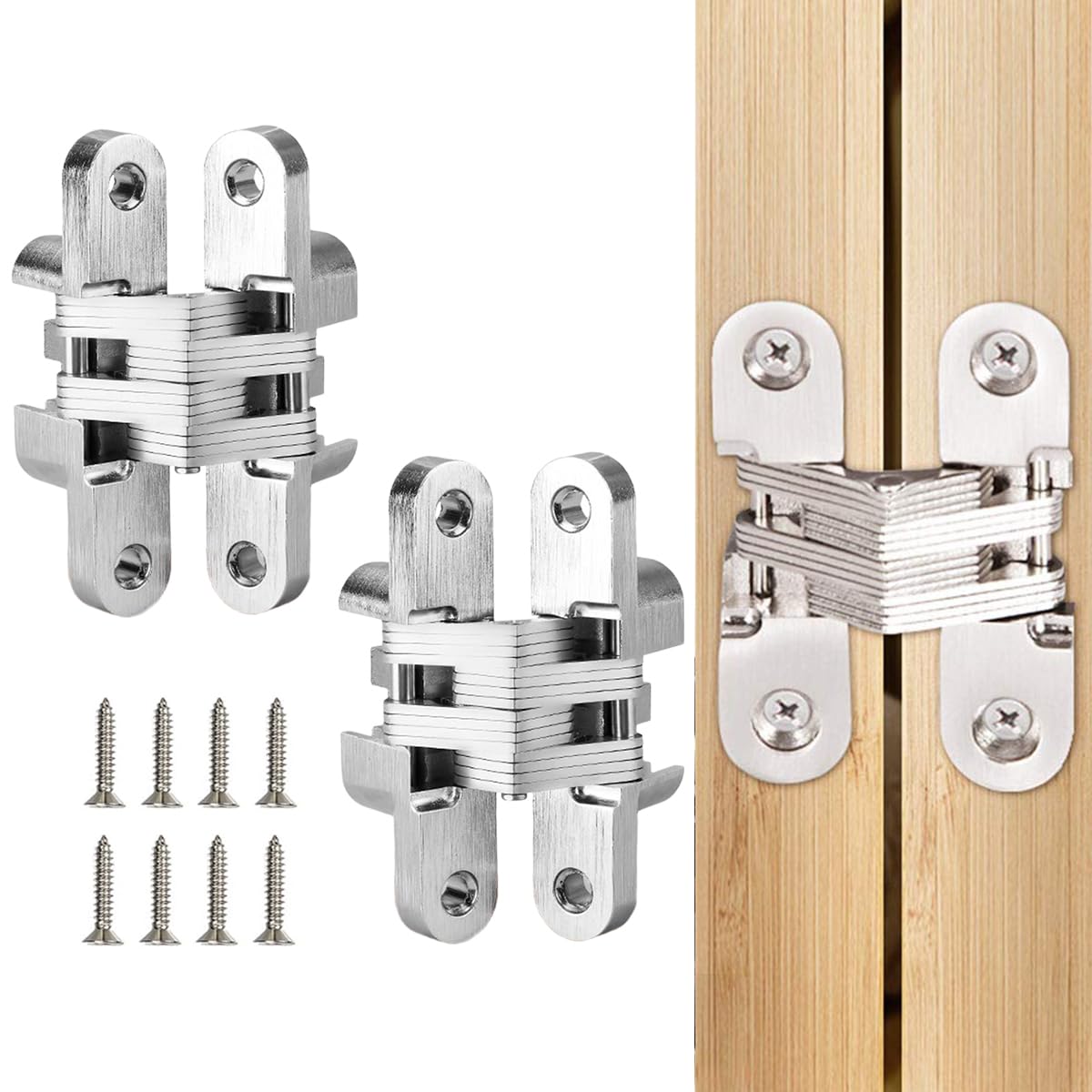 HASTHIP 2Pcs Hidden Door Hinges for 25mm Thickness Door– Hasthip